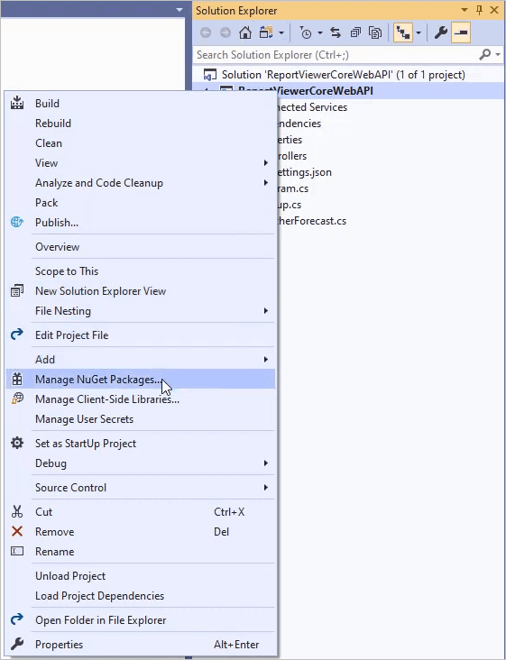 Create An Aspnet Core Web Api Reporting Service