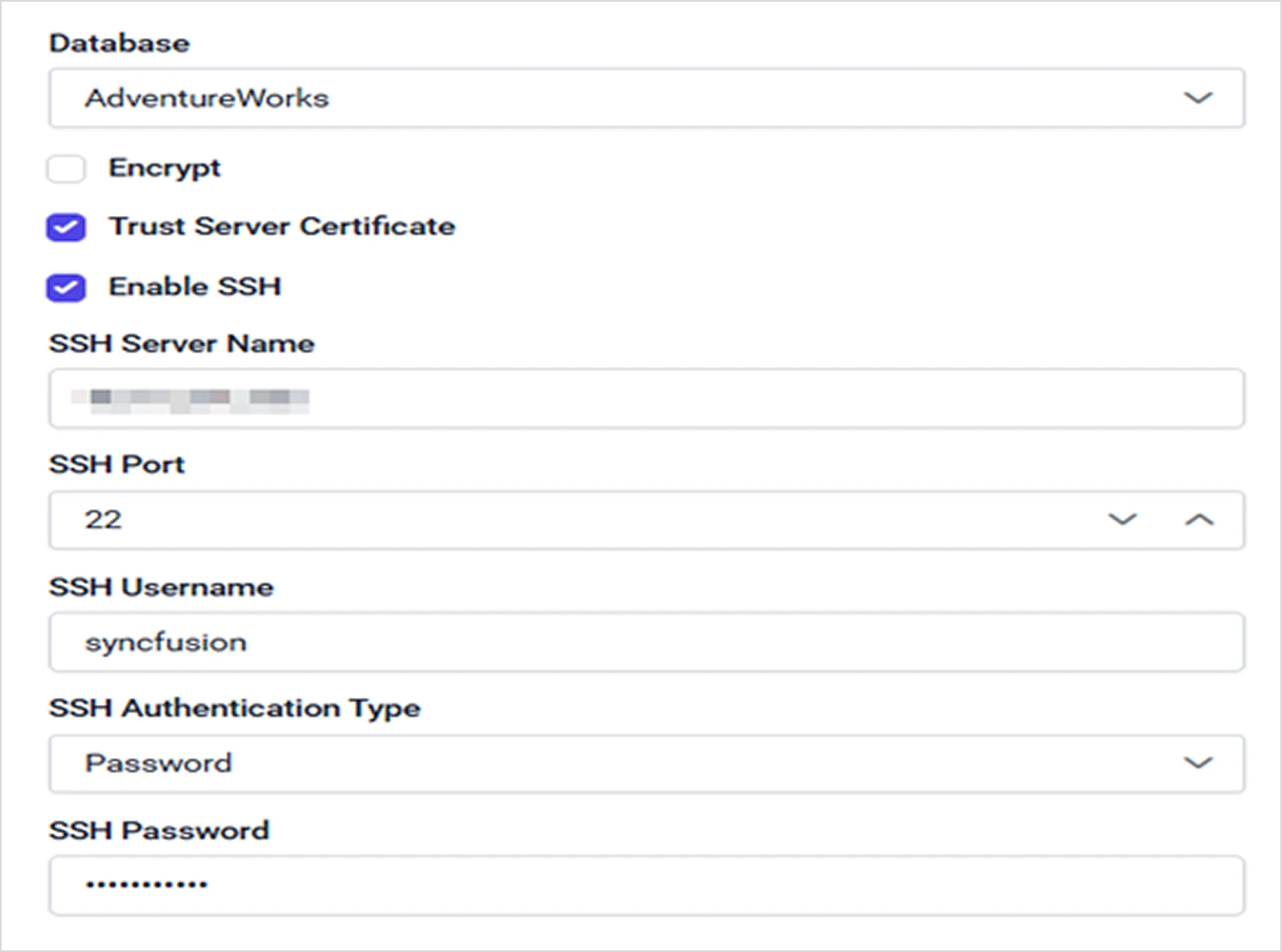 How to Configure SSH Tunnels for Secure Reporting