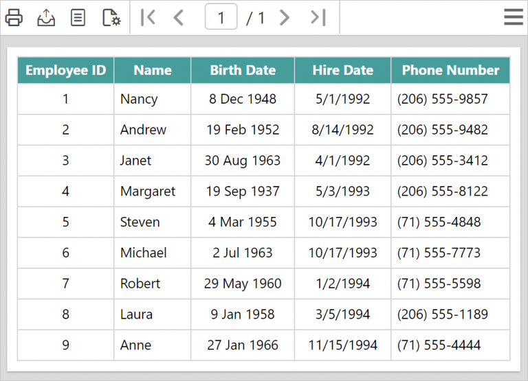 Formatting a Report in Bold Reports - Bold Reports