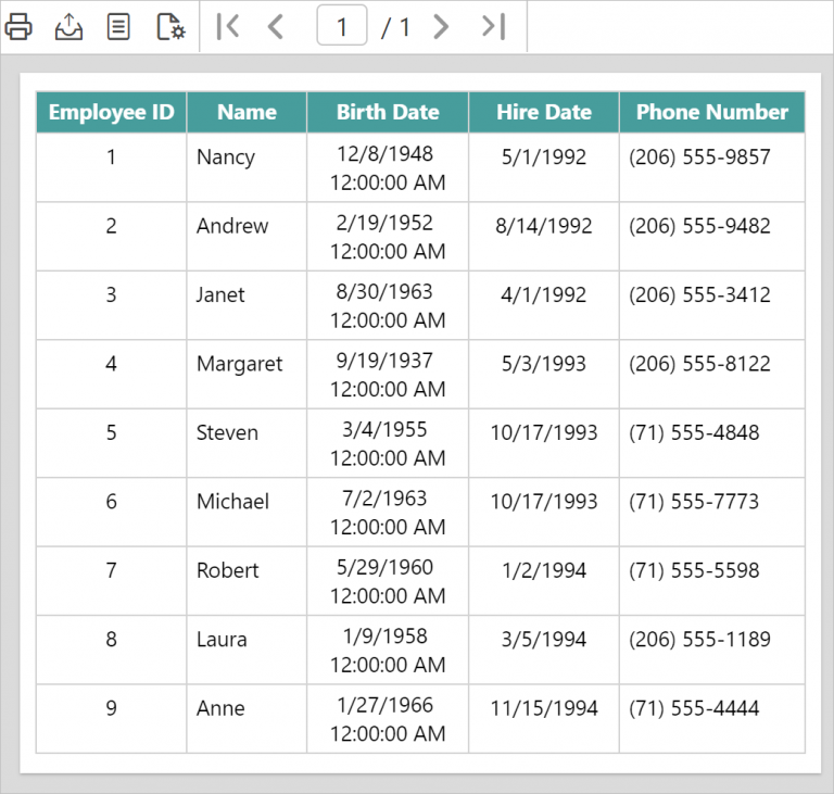 Formatting a Report in Bold Reports - Bold Reports