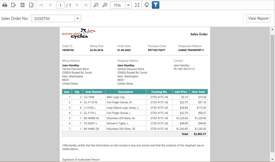 Adding the Report Viewer to ASP.NET Core Application