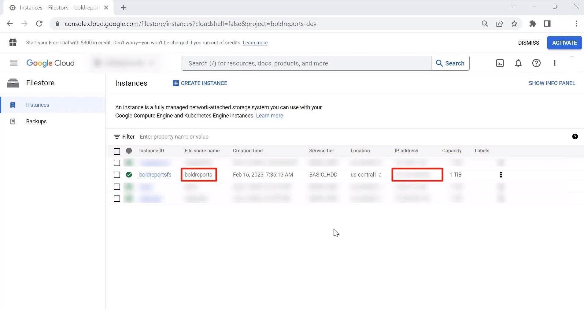 Set Up the Bold Reports Report Server on GKE