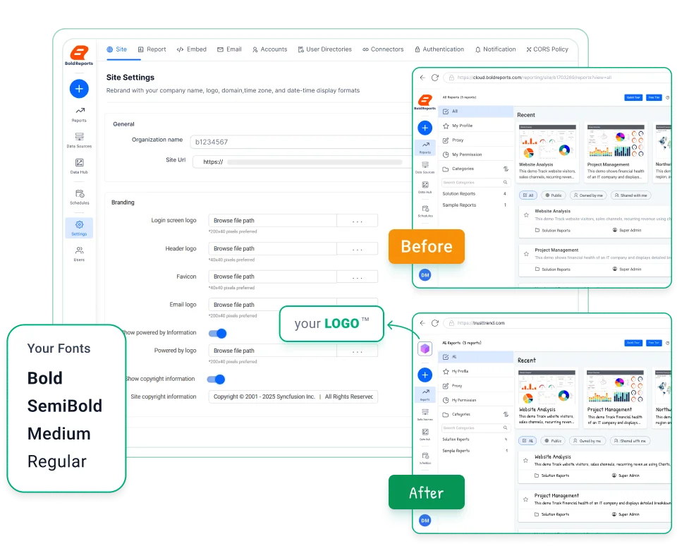 Custom White-Label Reporting & Branding Tools | Bold Reports